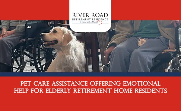 How Pet Care Assistance Offers Emotional Support to Seniors
